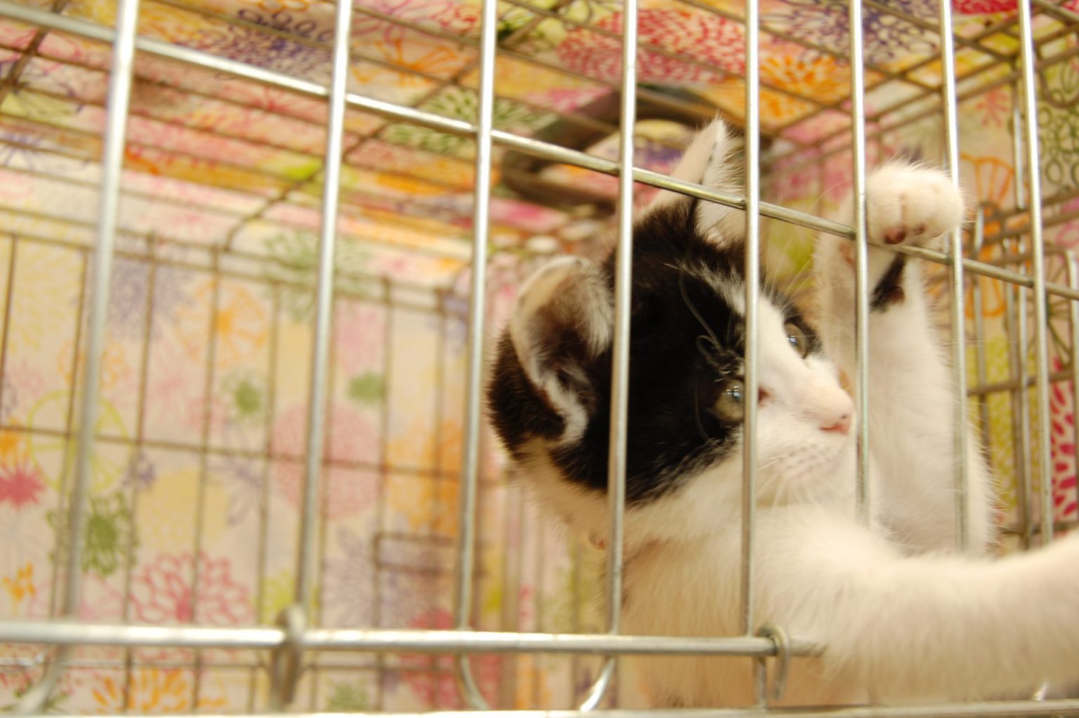 DSC_0462 | 株式会社 広報技術研究所